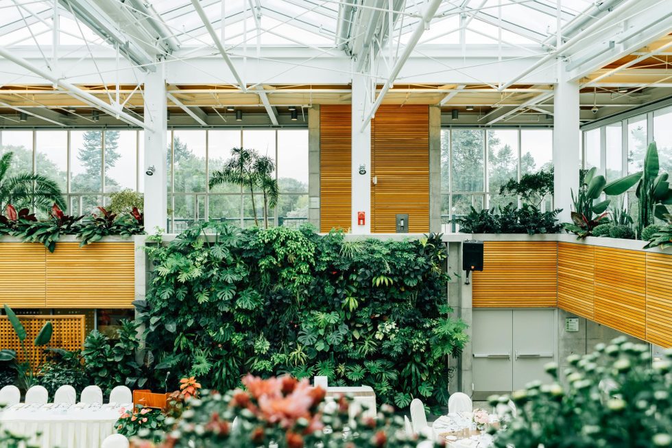 A Guide To Biophilic Retail Design