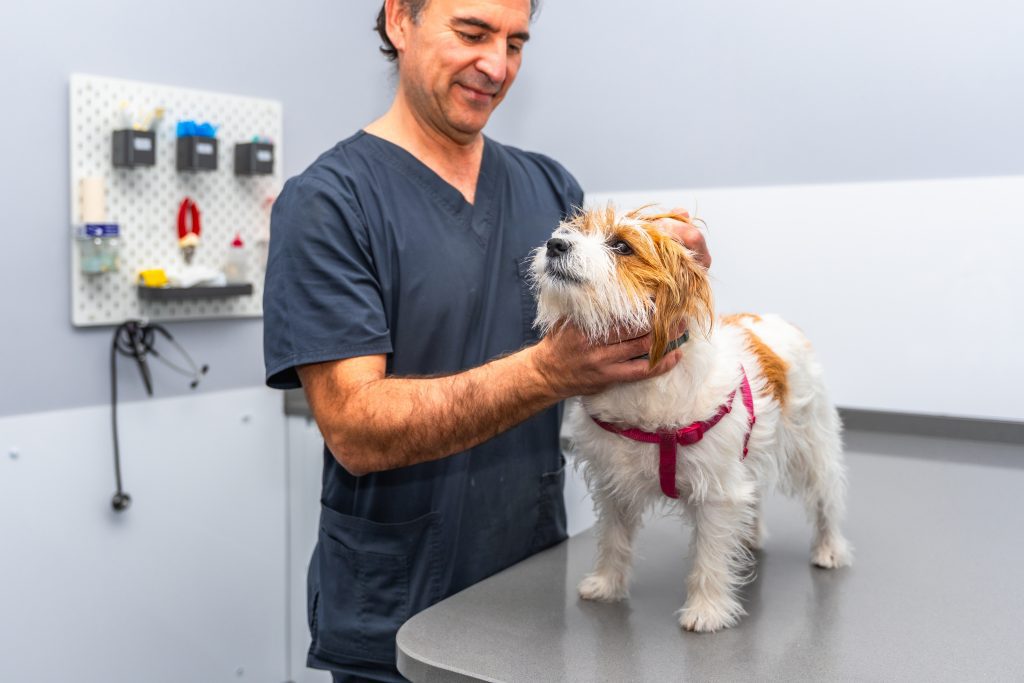 Veterinary Practices Fitout | CQC-compliant design | HE Interiors